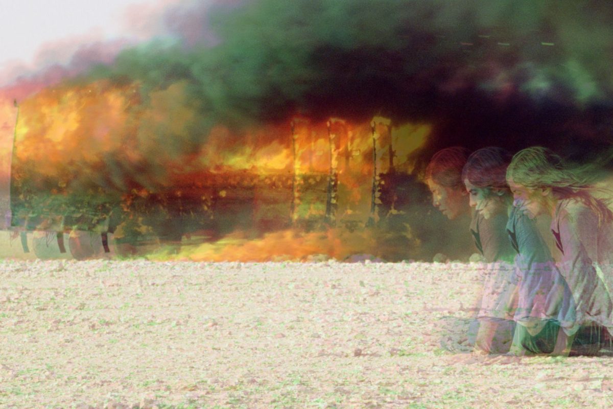 10 ans du film Incendies : Un grand millésime - Le Délit