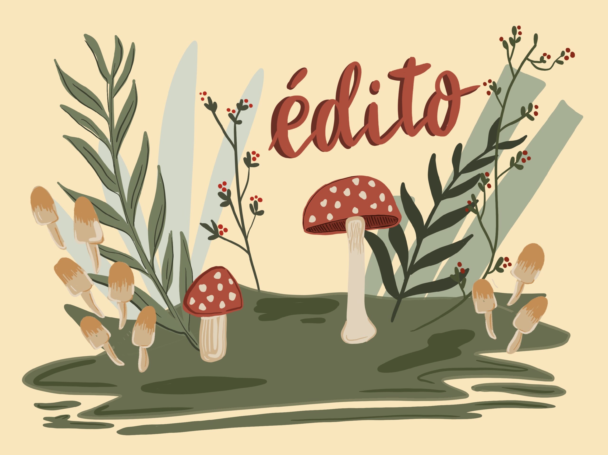 La hausse des frais de scolarité est-elle discriminatoire? - Le Délit