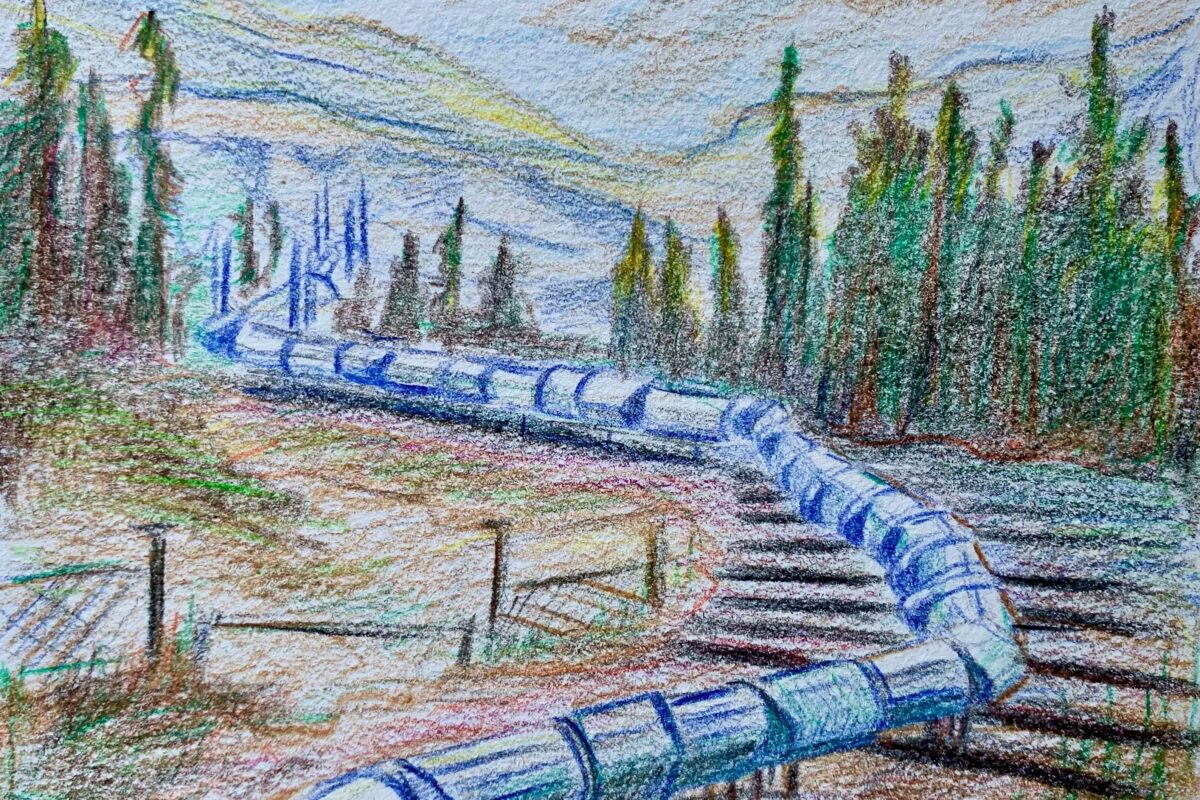 Trudeau : un manque d’action pour l’environnement? - Le Délit